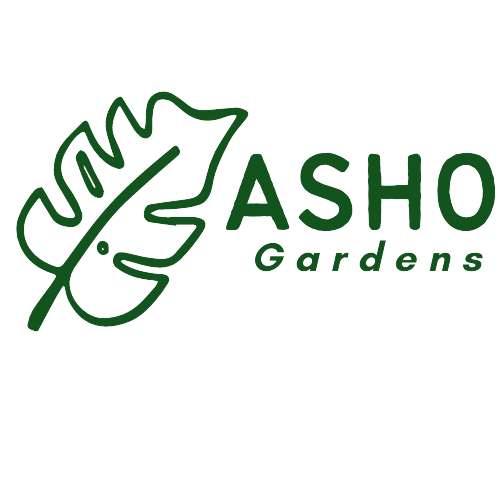 About Us – asho8744